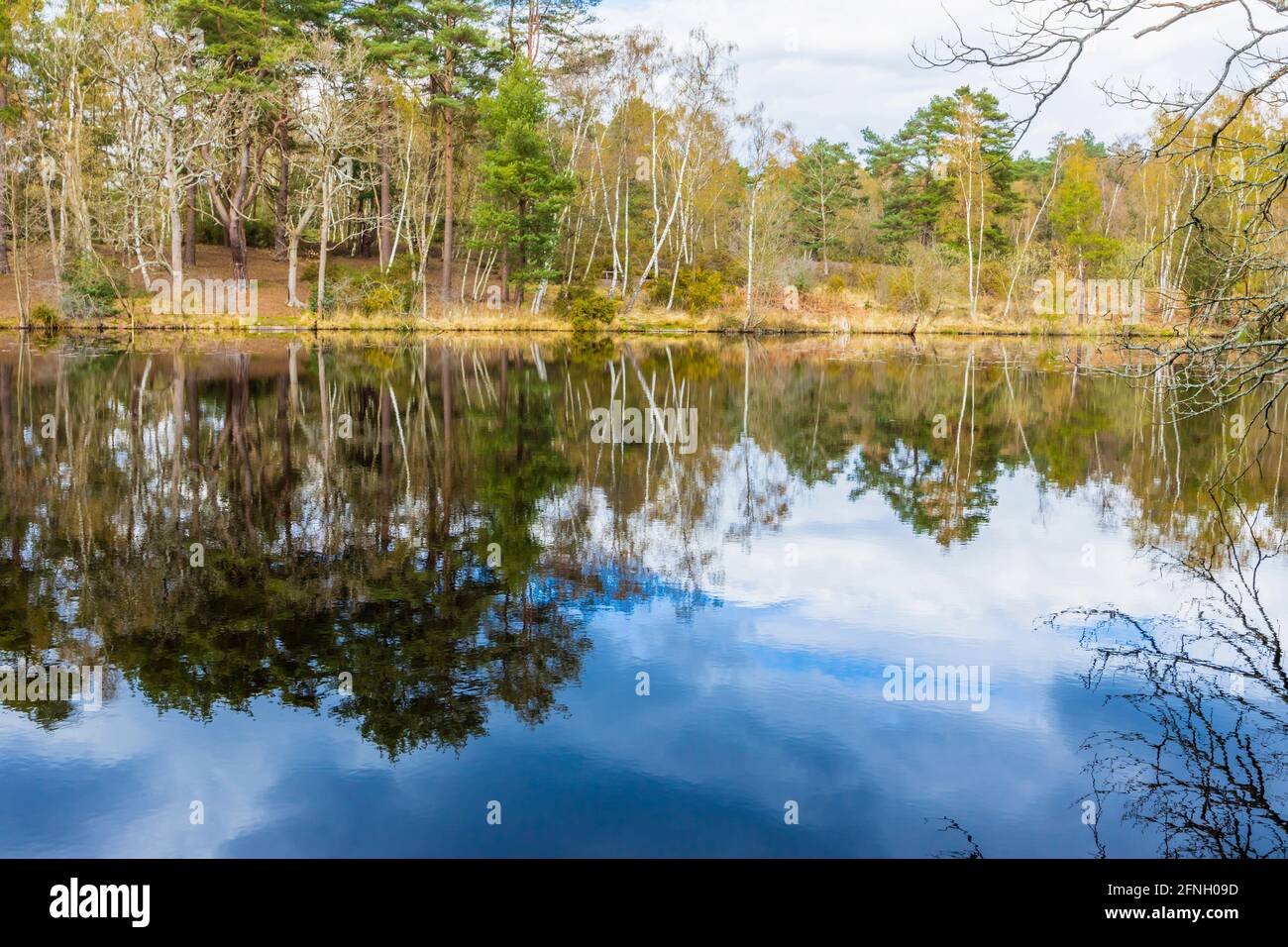 Chobham common hi-res stock photography and images - Alamy