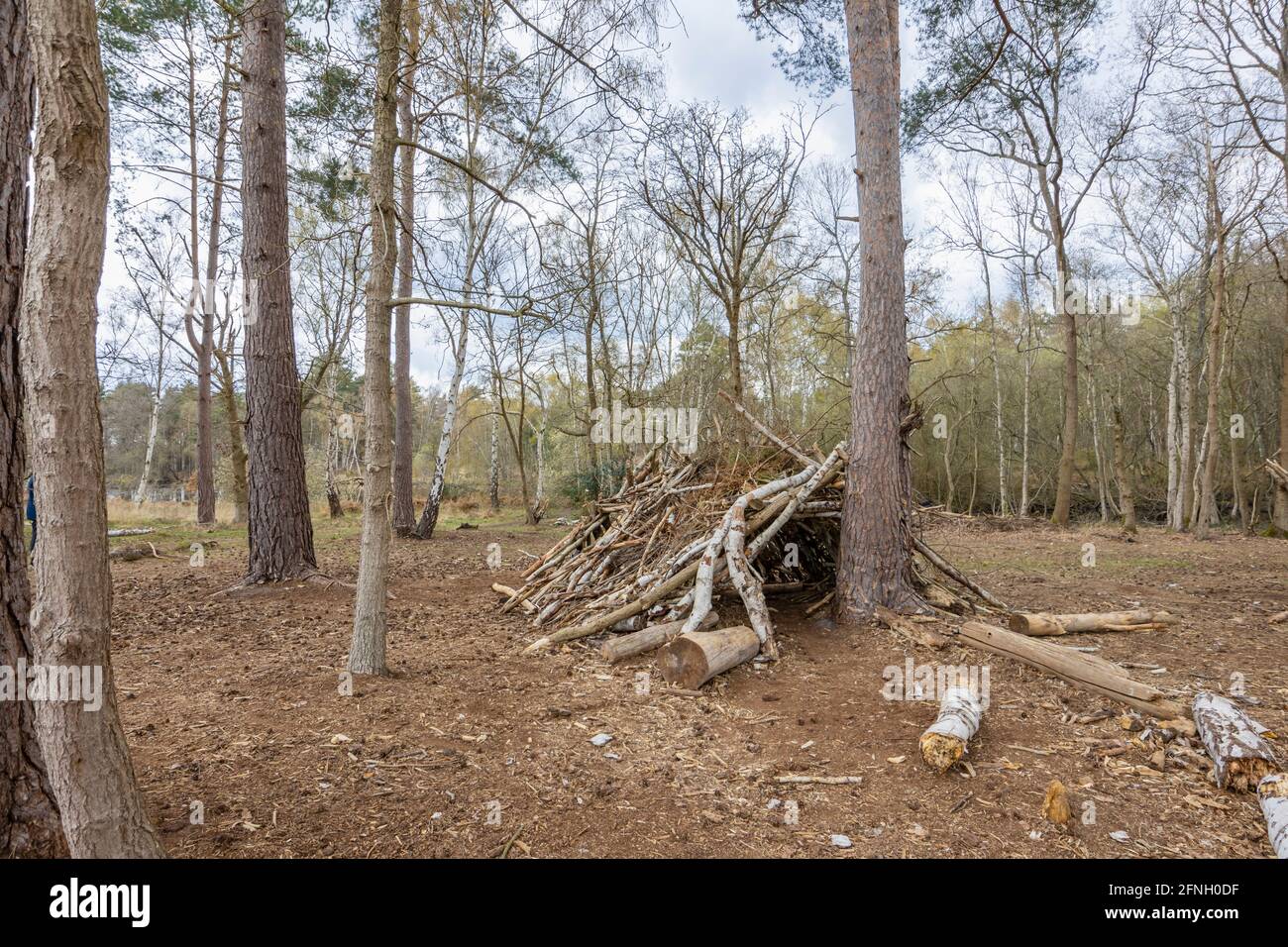 A wooden den built out of logs in the Gracious Pond area of Chobham ...