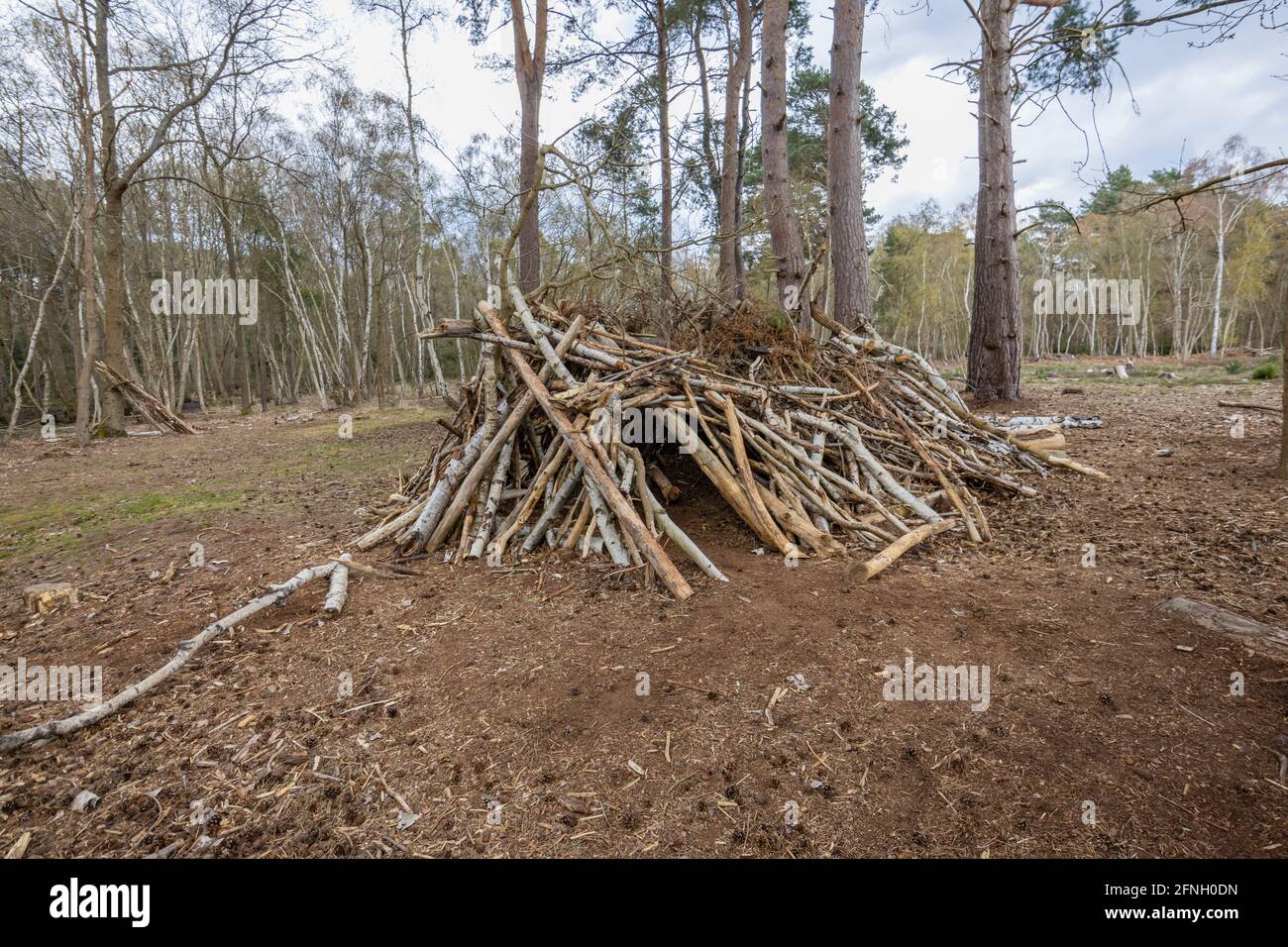 Chobham common in spring hi-res stock photography and images - Alamy