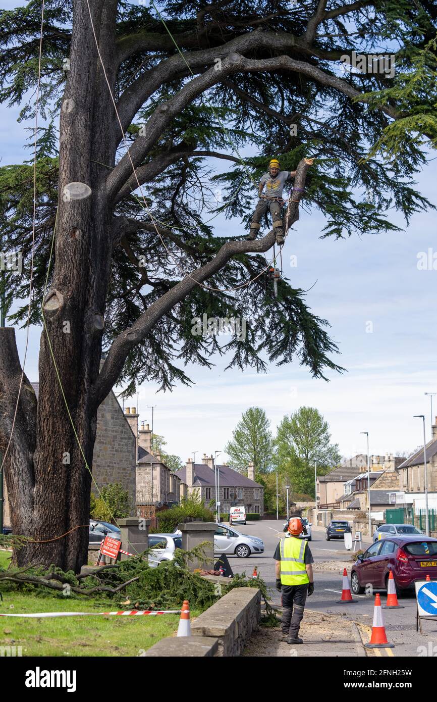 15 May 2021. Maisondieu Road, Elgin, Moray, Scotland, UK. This is a ...
