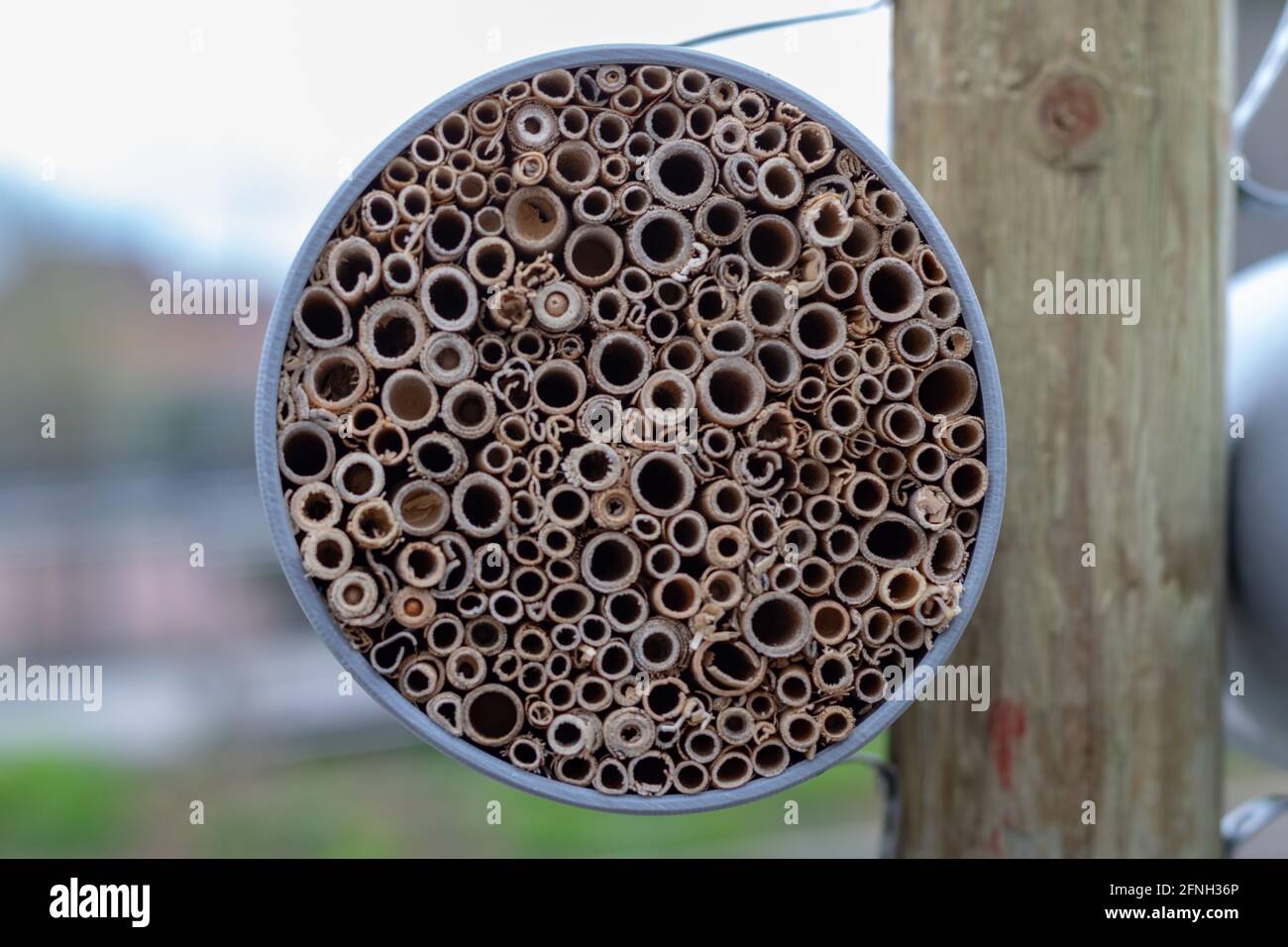 Round insect hotel, made of used cans and various wooden and plants ...
