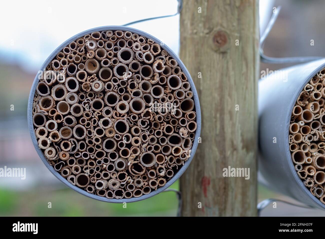 Round insect hotels, made of used cans and various wooden and plants ...