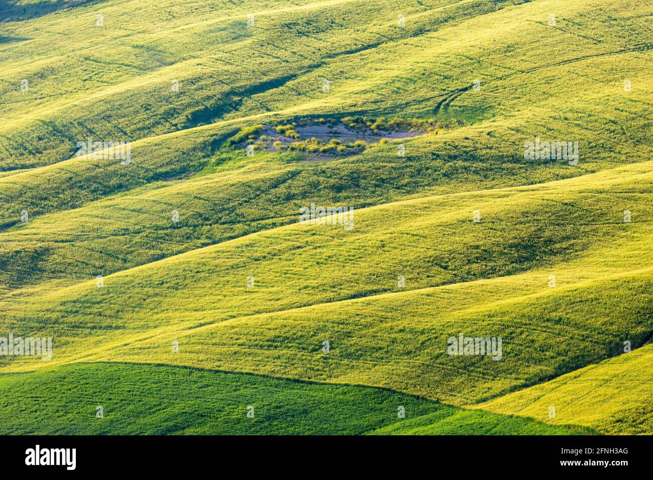 Rolling fields with patterns in the landscape Stock Photo - Alamy