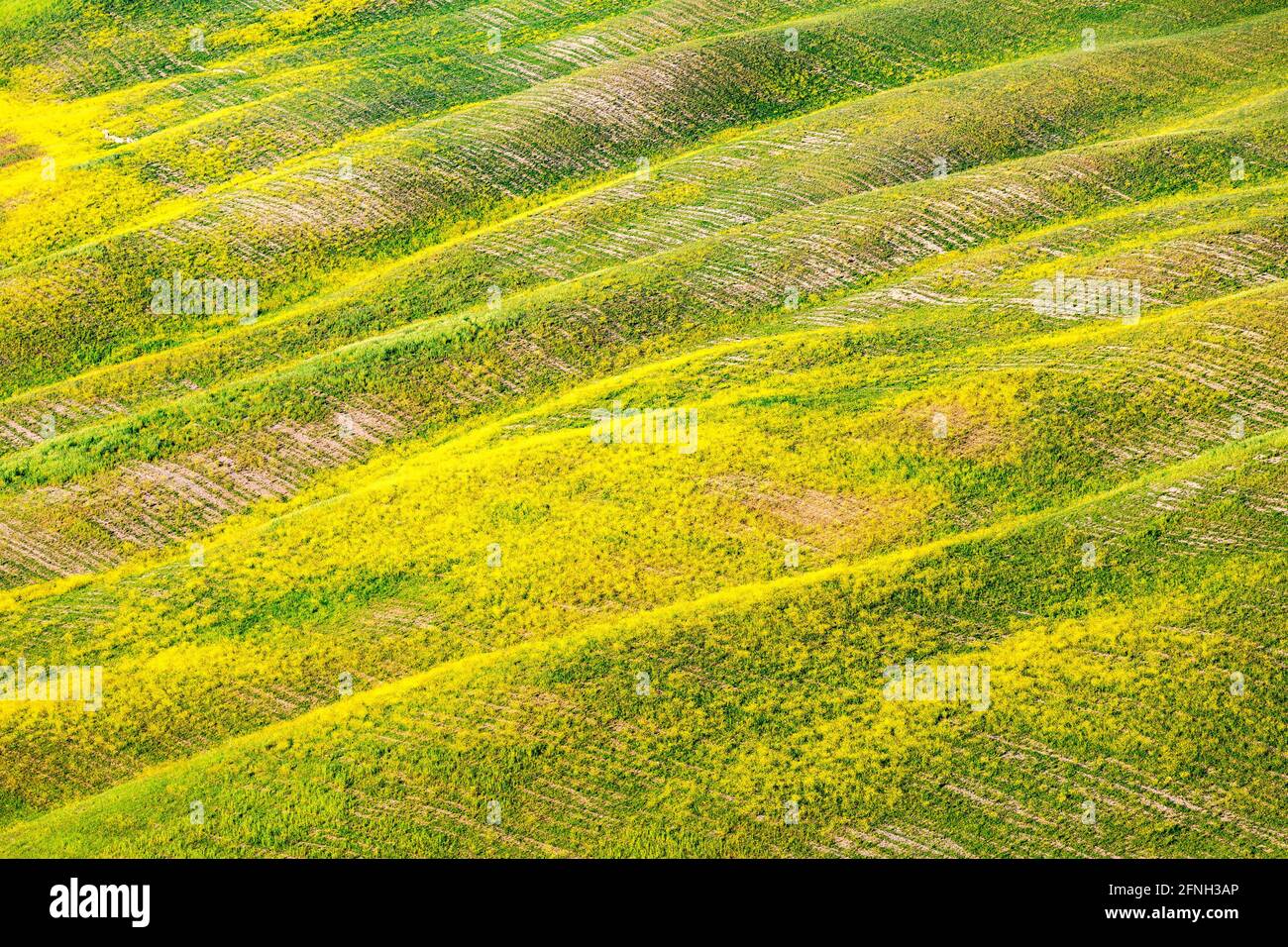 Rolling fields with shadow patterns in the landscape Stock Photo - Alamy