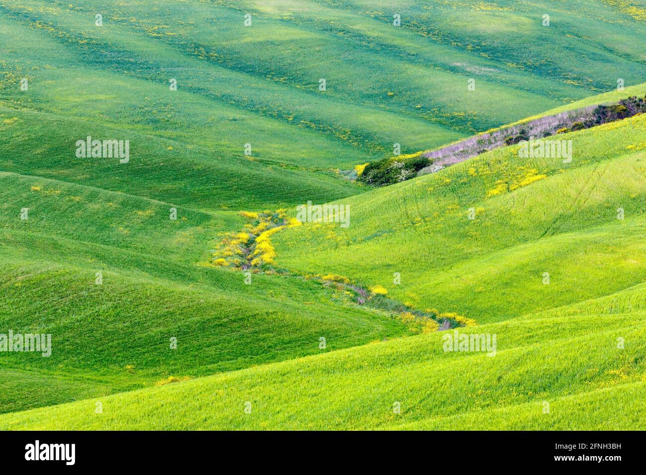 Valley with fields and a meandering stream Stock Photo - Alamy