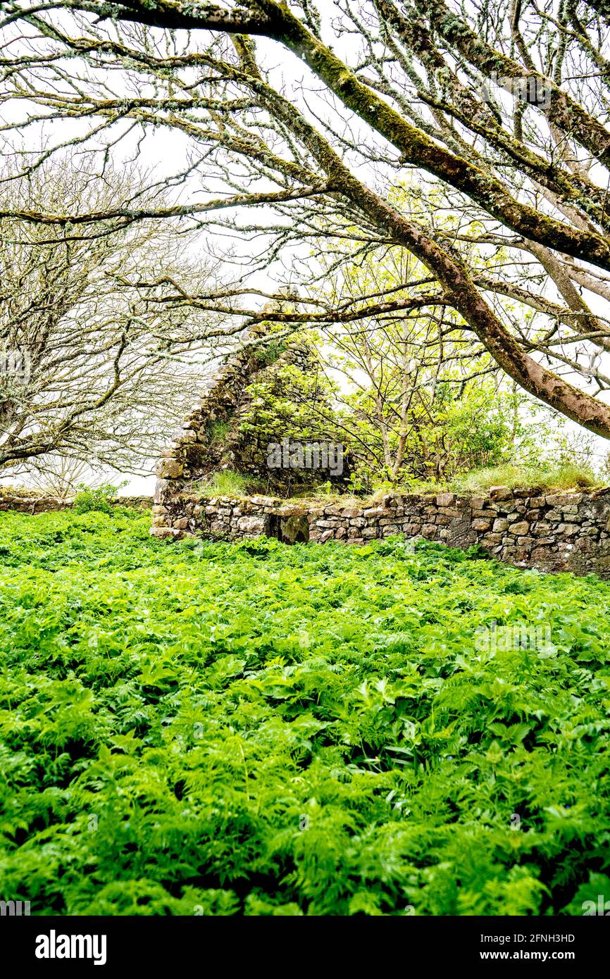 Structure ruin hi-res stock photography and images - Alamy