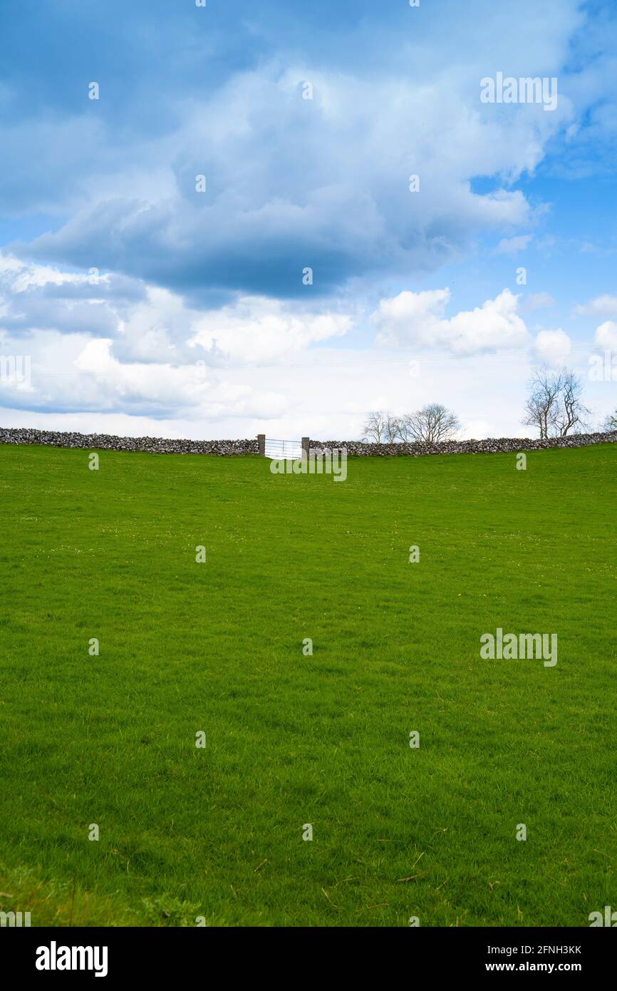 Field barrier dry hi-res stock photography and images - Alamy