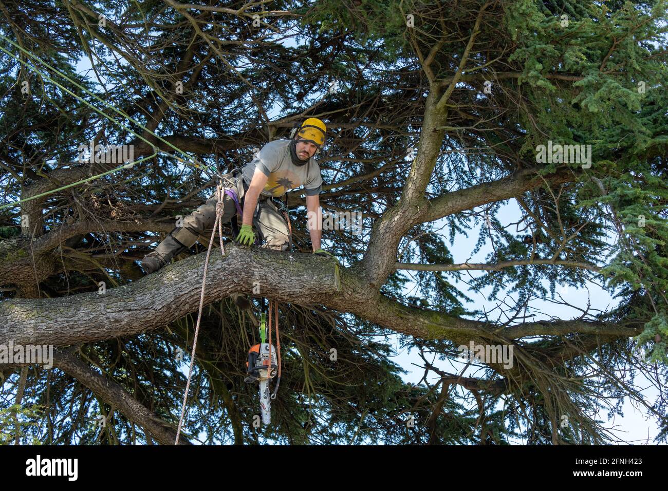 15 May 2021. Maisondieu Road, Elgin, Moray, Scotland, UK. This is a ...