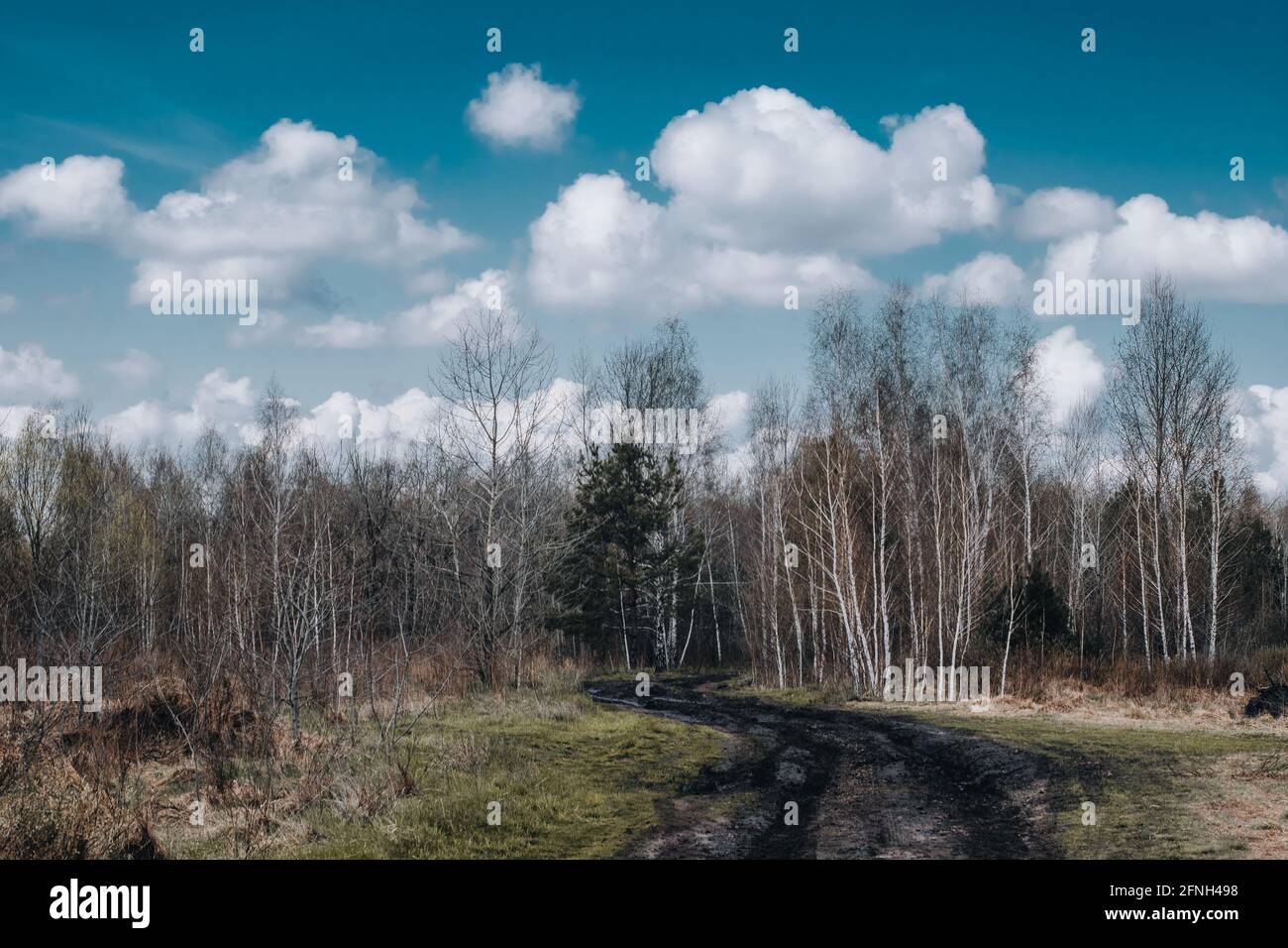 Spring in kyiv hi-res stock photography and images - Alamy