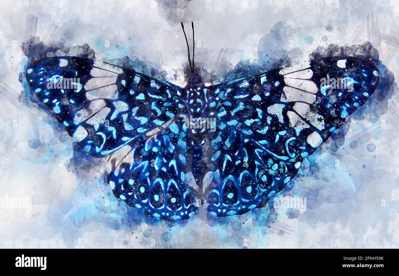 Watercolour illustration of exotical blue red cracker butterfly ...