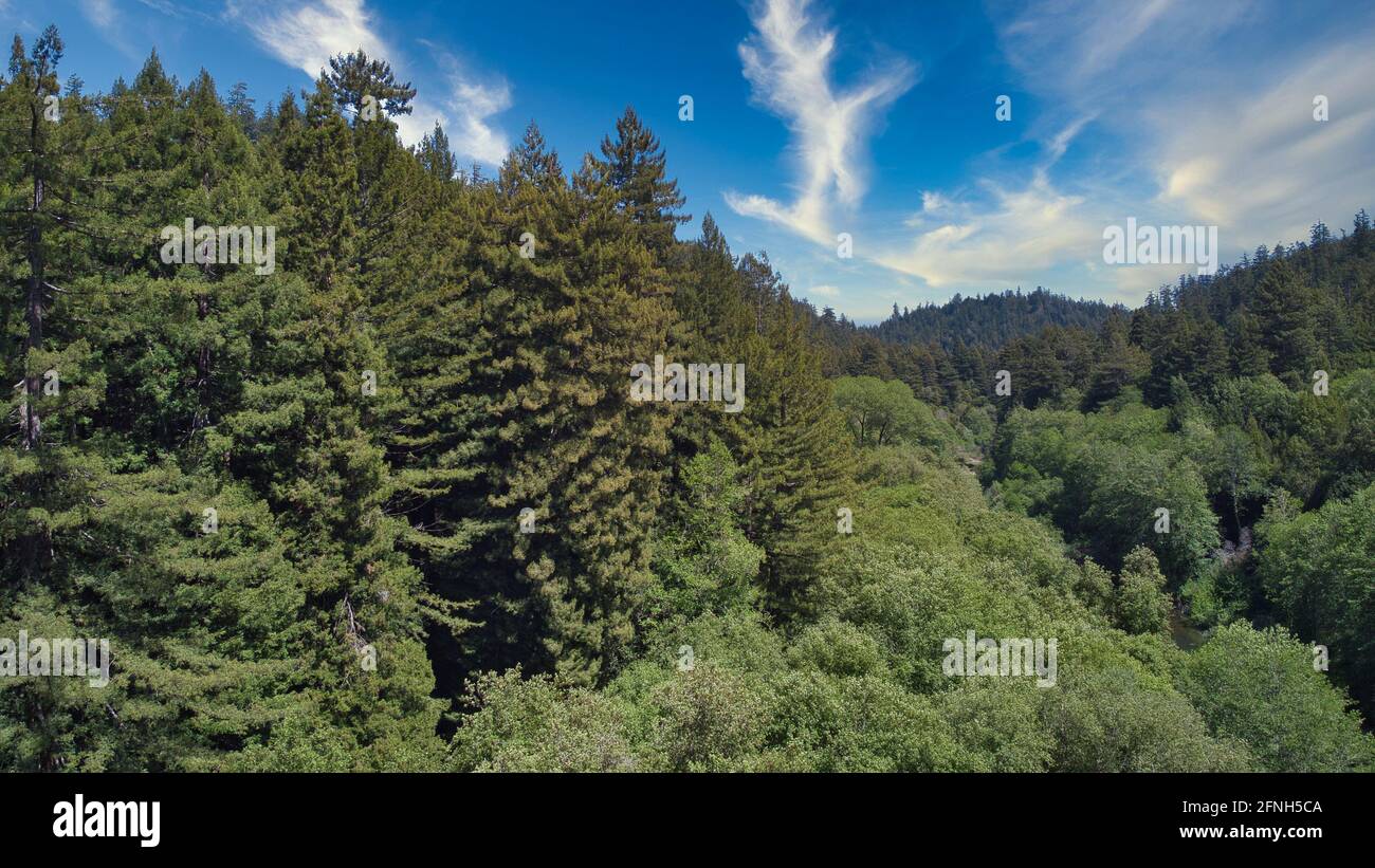 Redwood national park aerial hi-res stock photography and images - Alamy