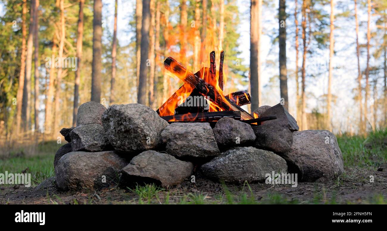 Campfire in the forest hi-res stock photography and images - Alamy