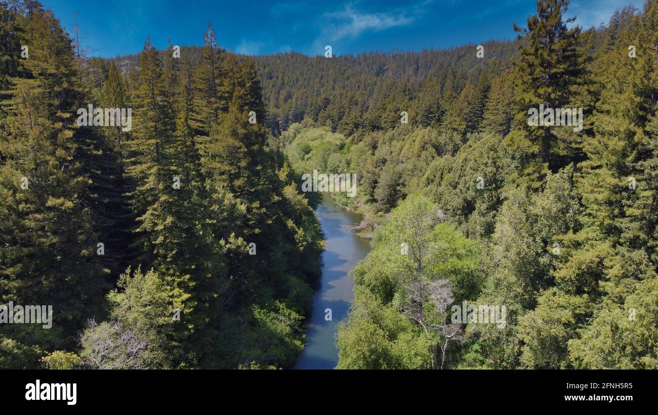 Redwood national park aerial hi-res stock photography and images - Alamy