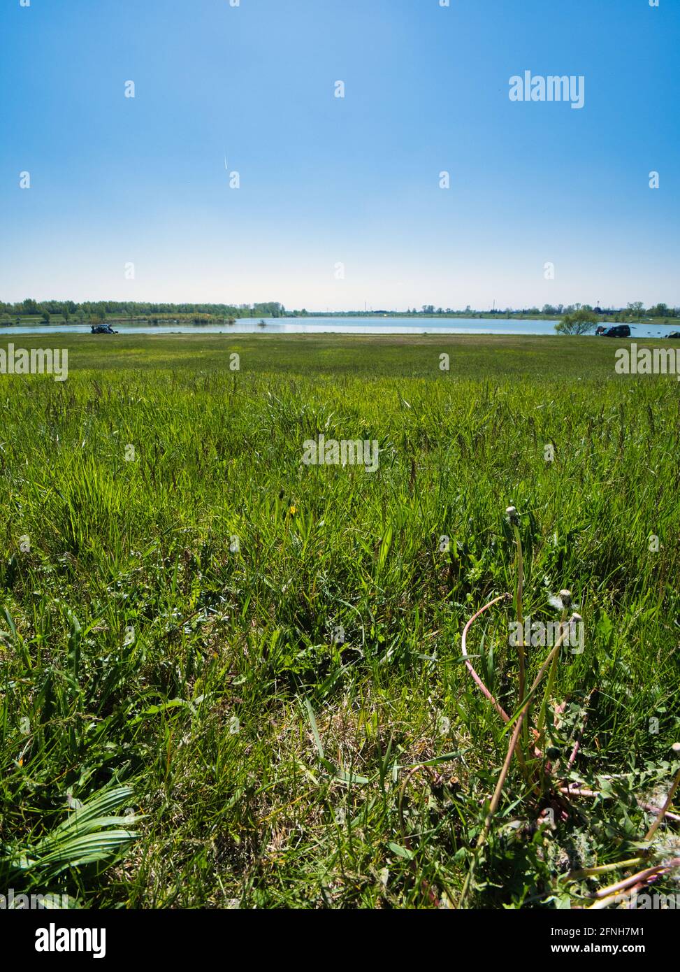 Beautiful view of the long grassy field surrounding the lkae under the ...