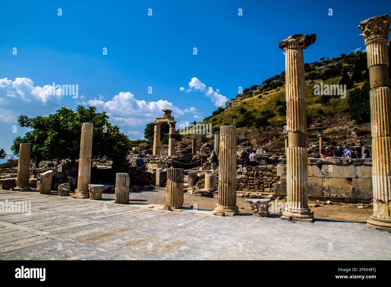 The ancient city of Ephesus, the most famous of the 12 Ionian cities in ...