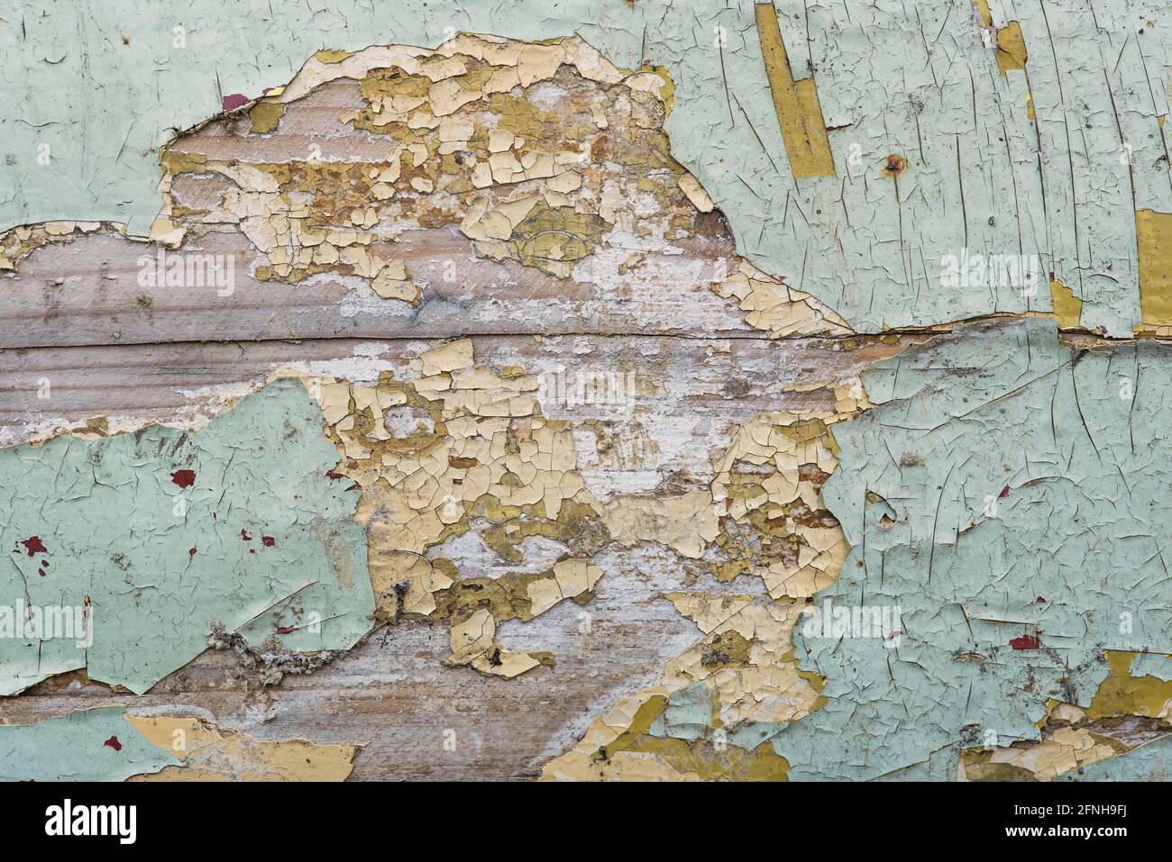 Paint has crazed, cracked and flaked off the surface of this old ...