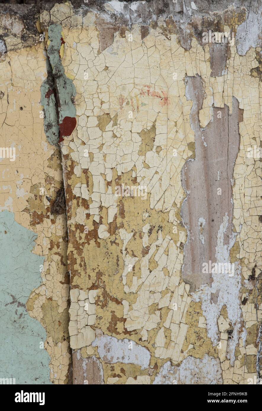 Paint has crazed, cracked and flaked off the surface of this old ...