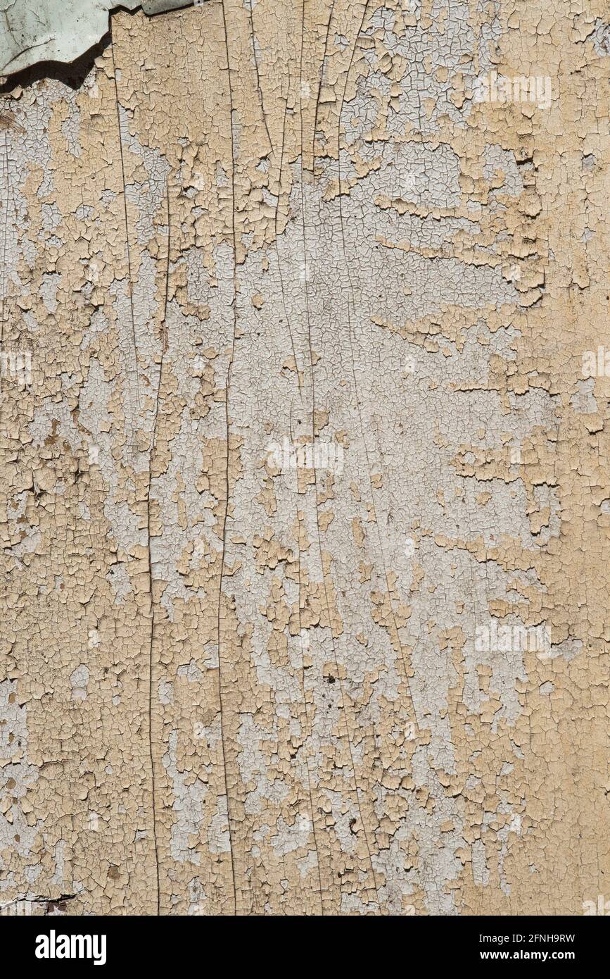 Paint has crazed, cracked and flaked off the surface of this old ...