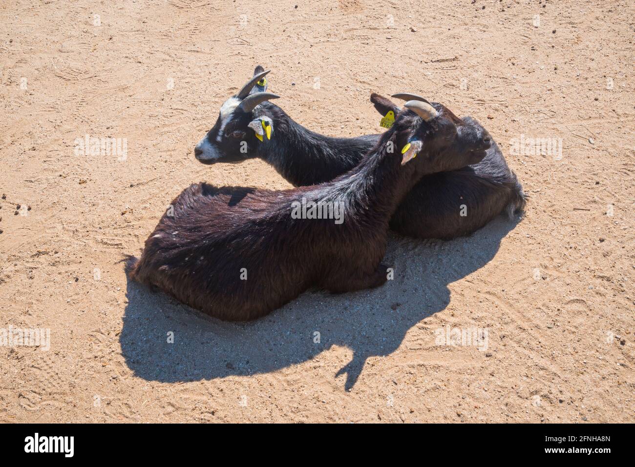 Stock de concepto hi-res stock photography and images - Alamy