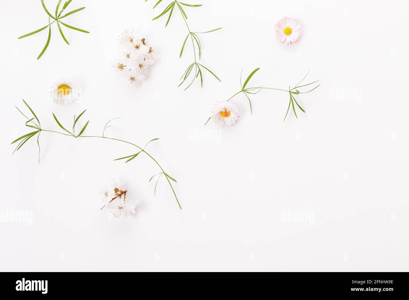 Daisy pattern hi-res stock photography and images - Alamy
