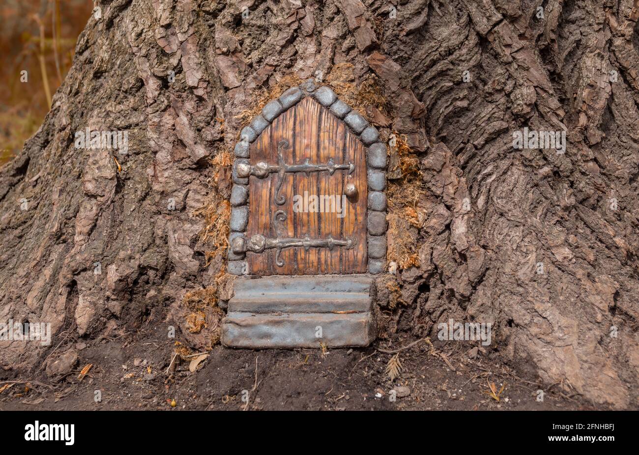 green door in a tree Stock Photo - Alamy