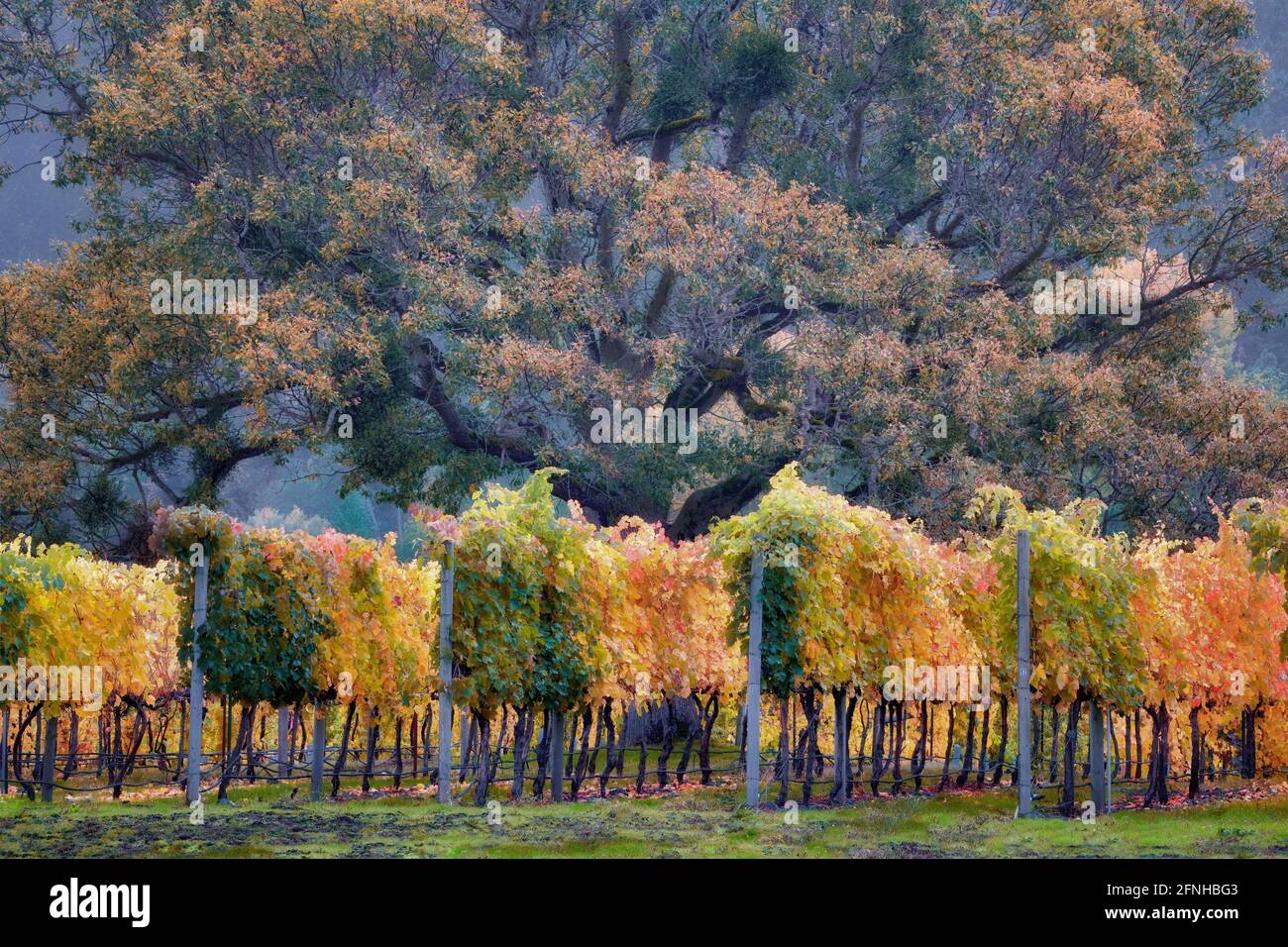 Applegate hi-res stock photography and images - Alamy