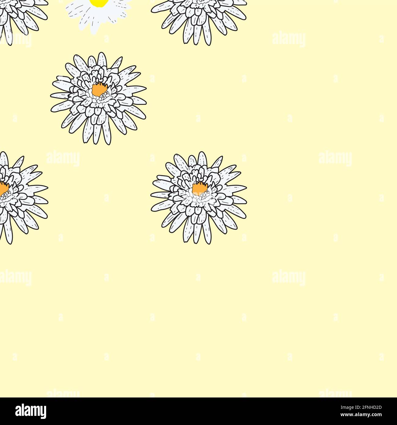 Vector yellow background daisy flowers and wild flowers. Seamless ...