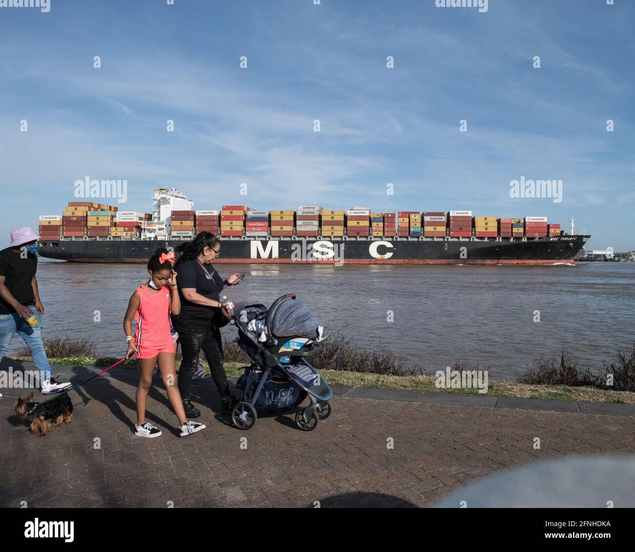 People watch as a massive MSC container ship carrying global cargo ...