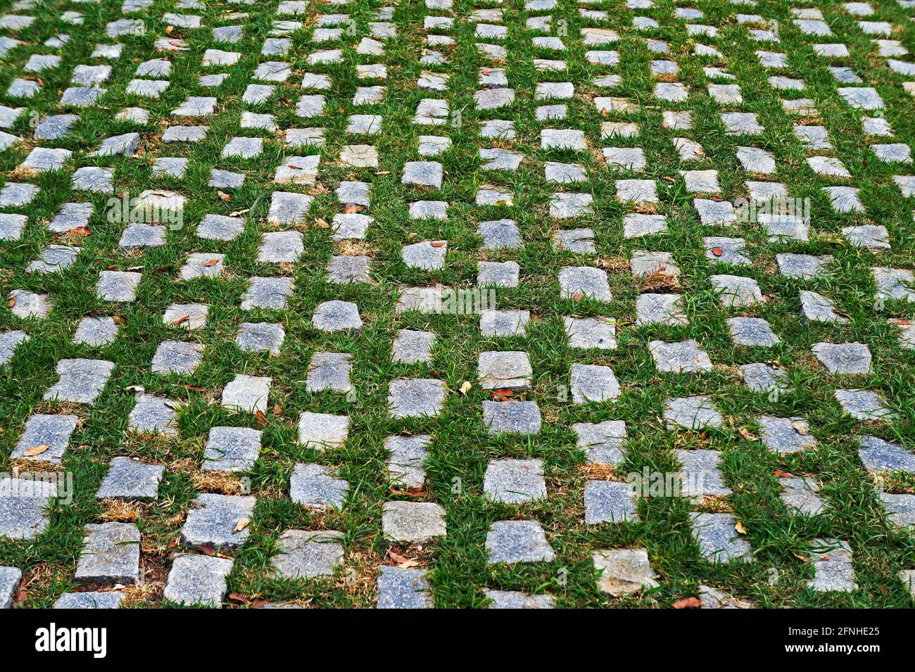 Cobblestone with grass texture hi-res stock photography and images - Alamy