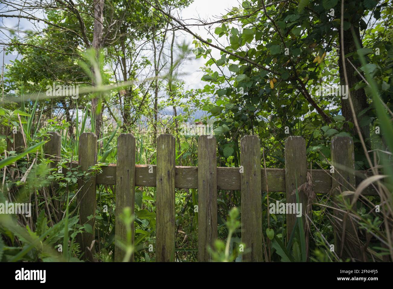 Nature and scenic landscapes hi-res stock photography and images - Alamy