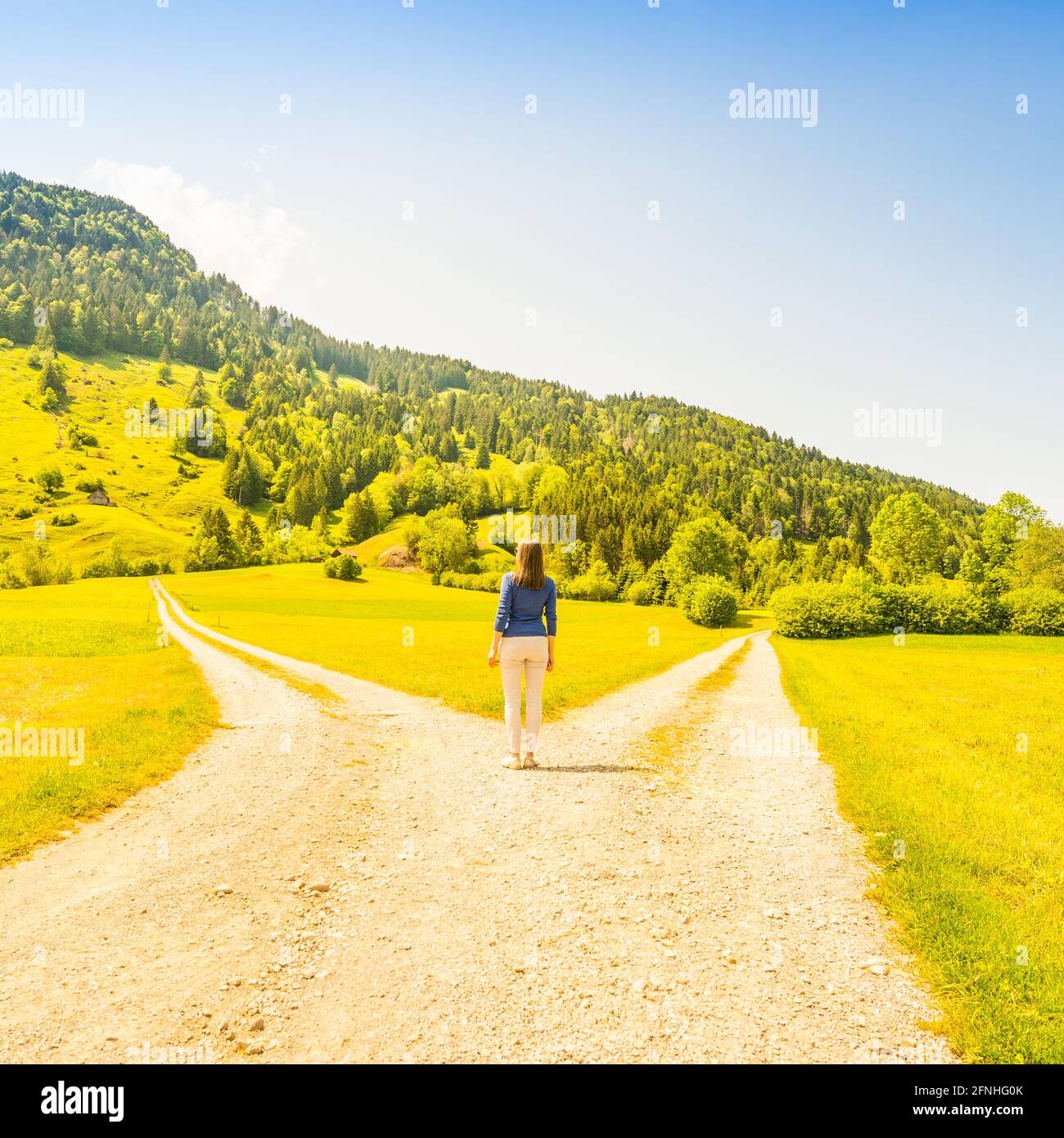 Two paths fork forest hi-res stock photography and images - Alamy