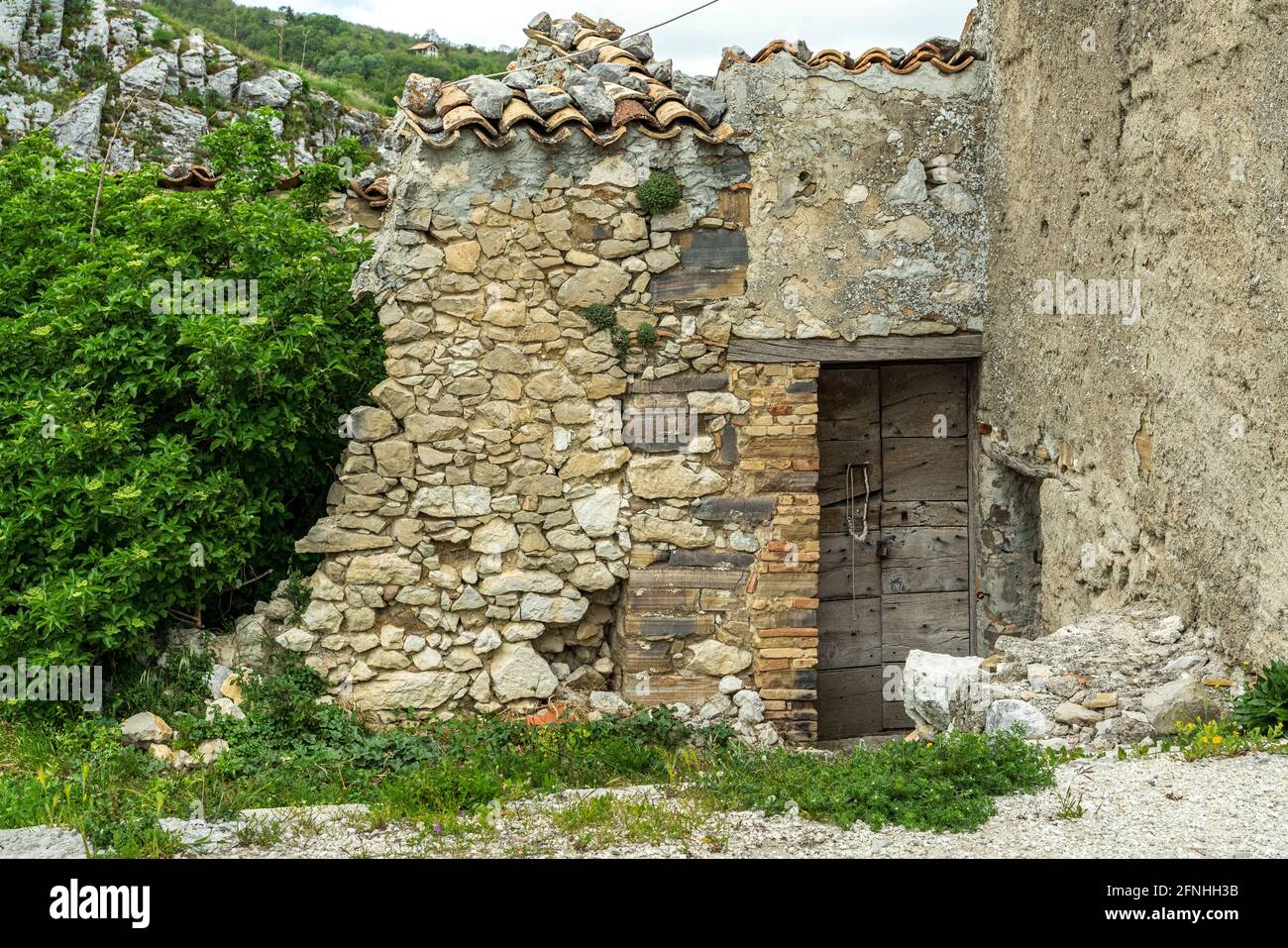 Old ruined and abandoned house with wooden door. Potted by plants ...