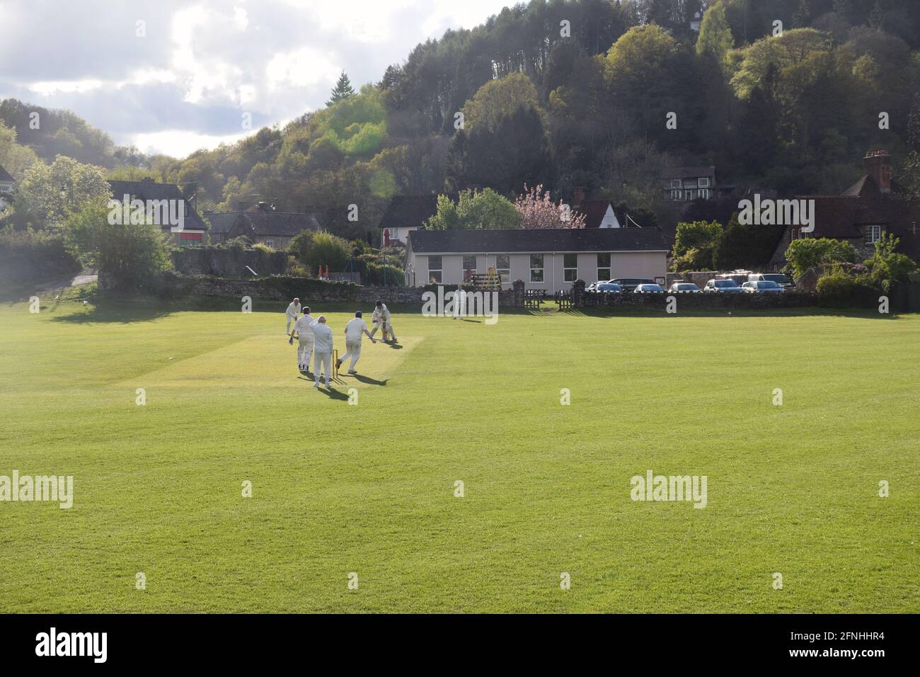 Cricket liz hi-res stock photography and images - Alamy