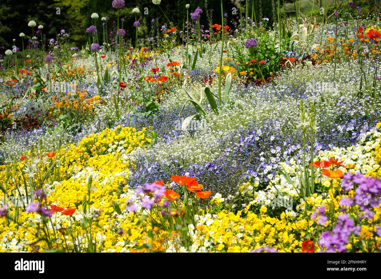 Blossom mixture hi-res stock photography and images - Alamy