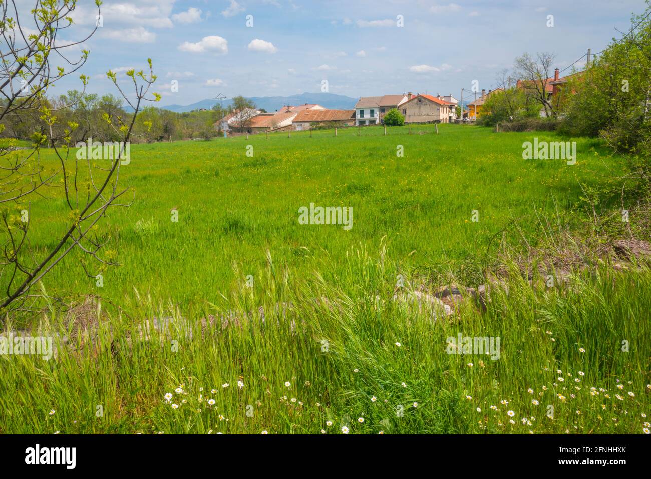 Meadow and village. Pinilla de Buitrago, Madrid province, Spain Stock ...