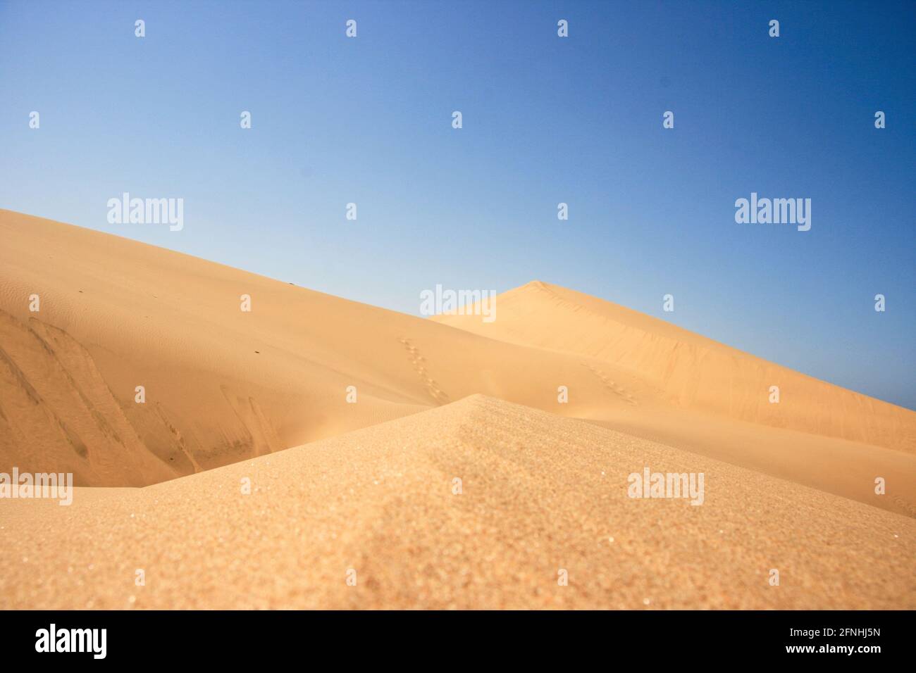 Closeup landscape of sand dunes and patterns in nature along Skeleton ...
