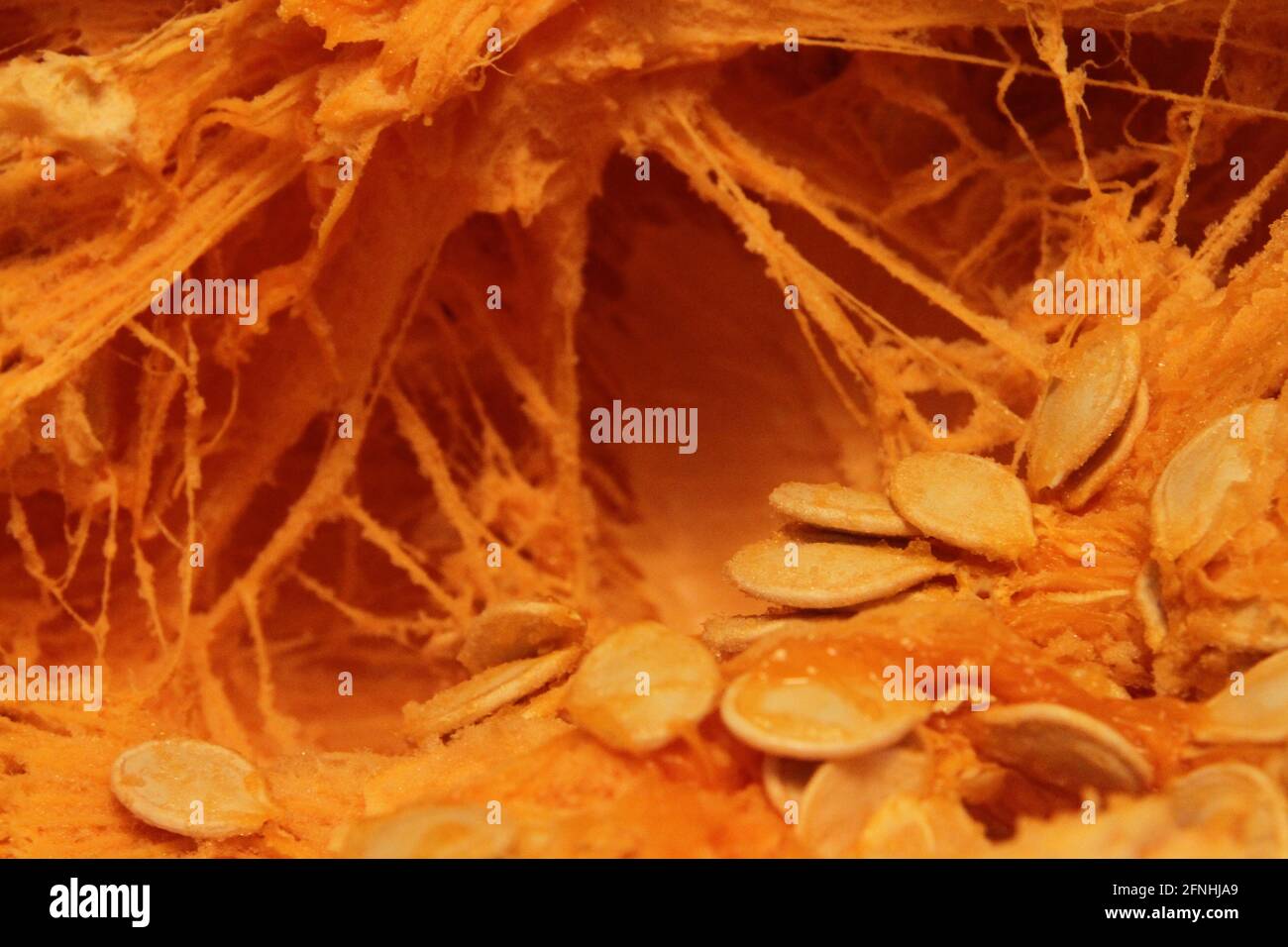Pumpkin cut in half with seeds inside Stock Photo - Alamy