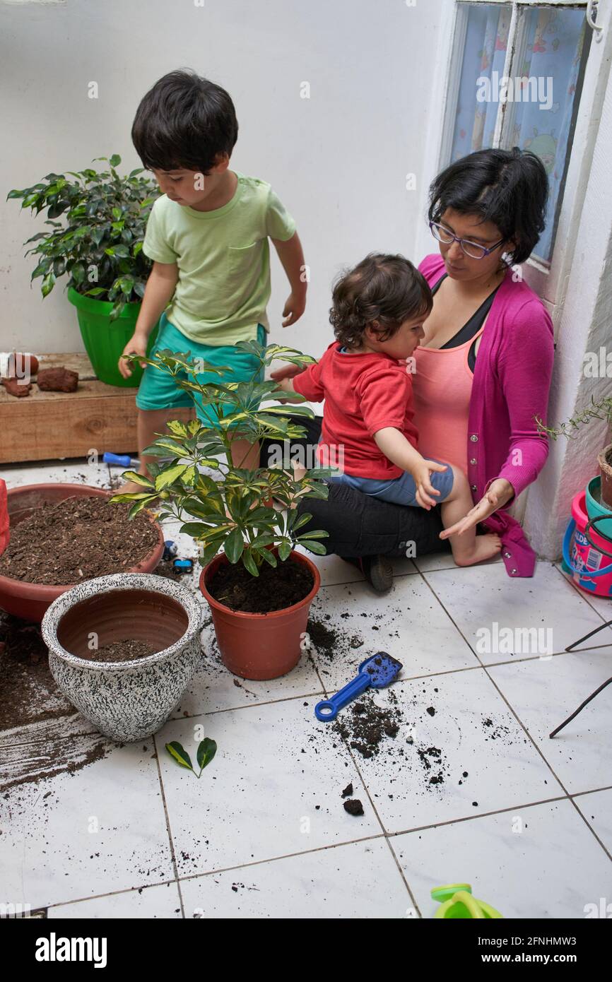 Mother tries to fix plants with her children. Ecological education for ...