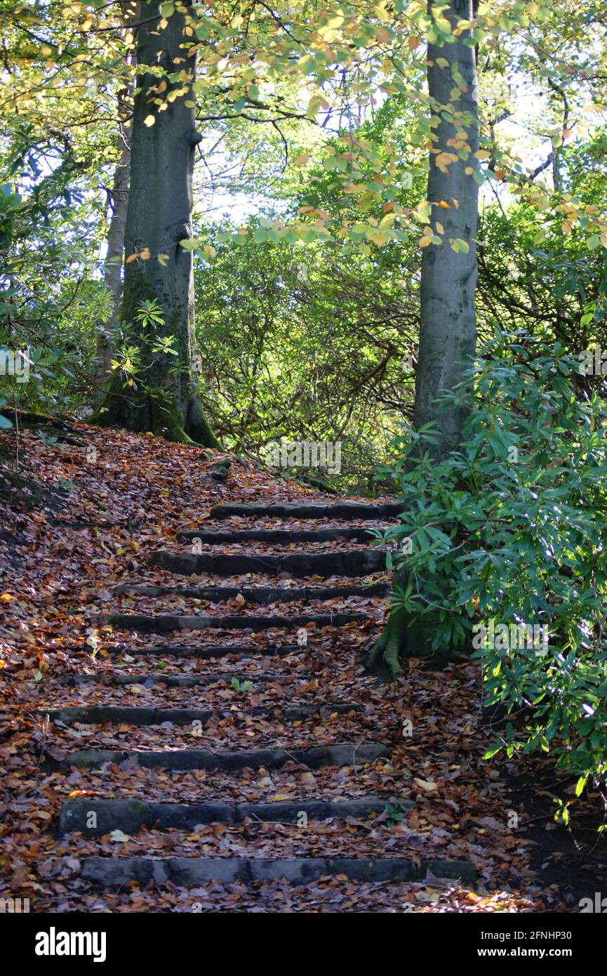 Disappearing steps hi-res stock photography and images - Alamy