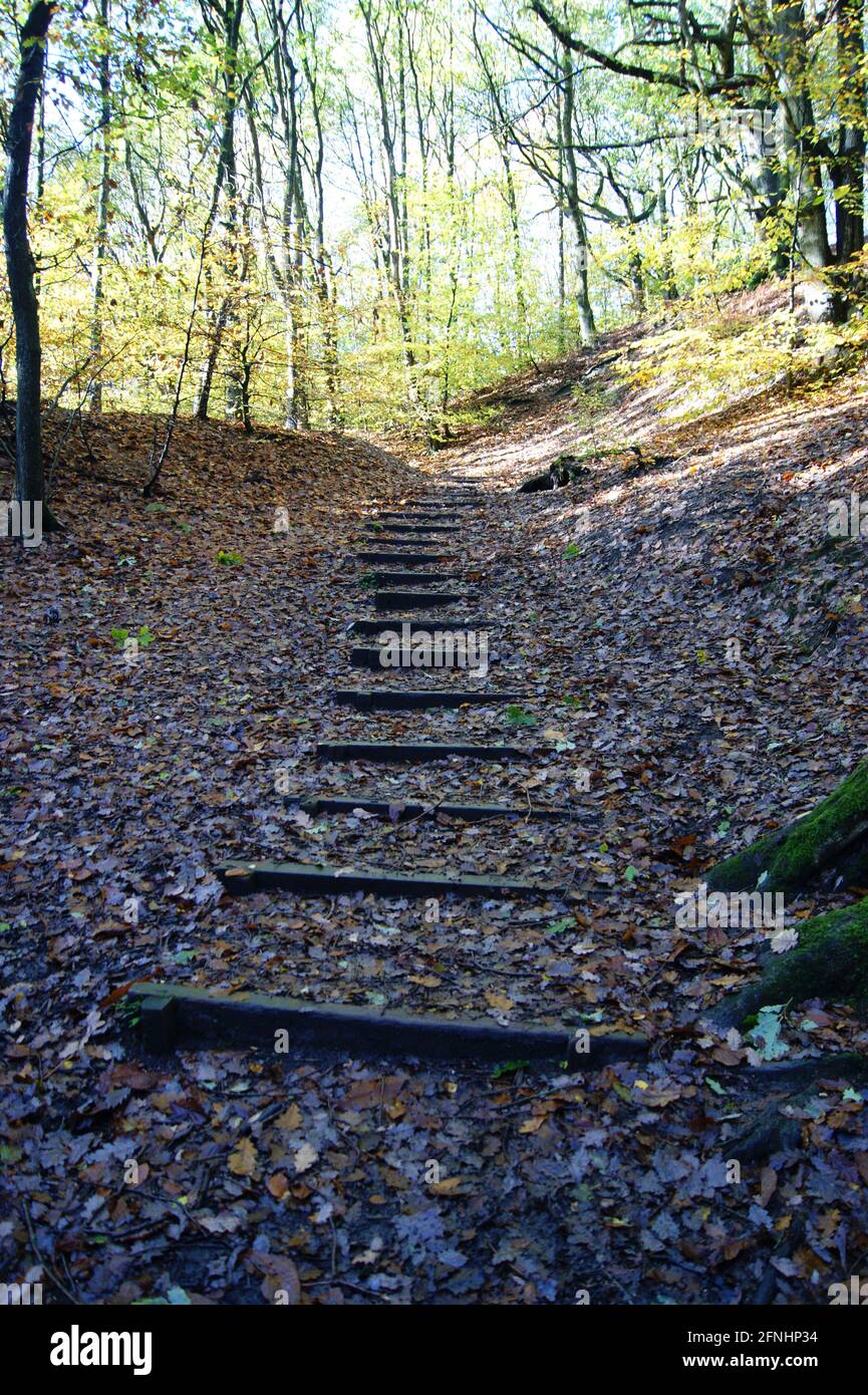 Disappearing steps hi-res stock photography and images - Alamy