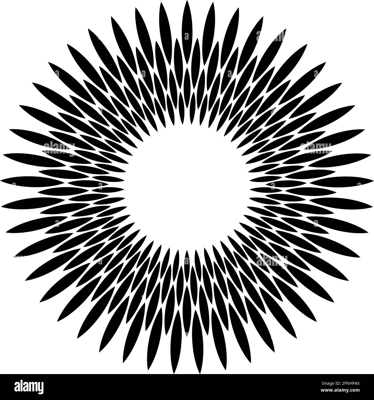 Radial, circular lines, spokes. Radiating lines, stripes. Concentric ...