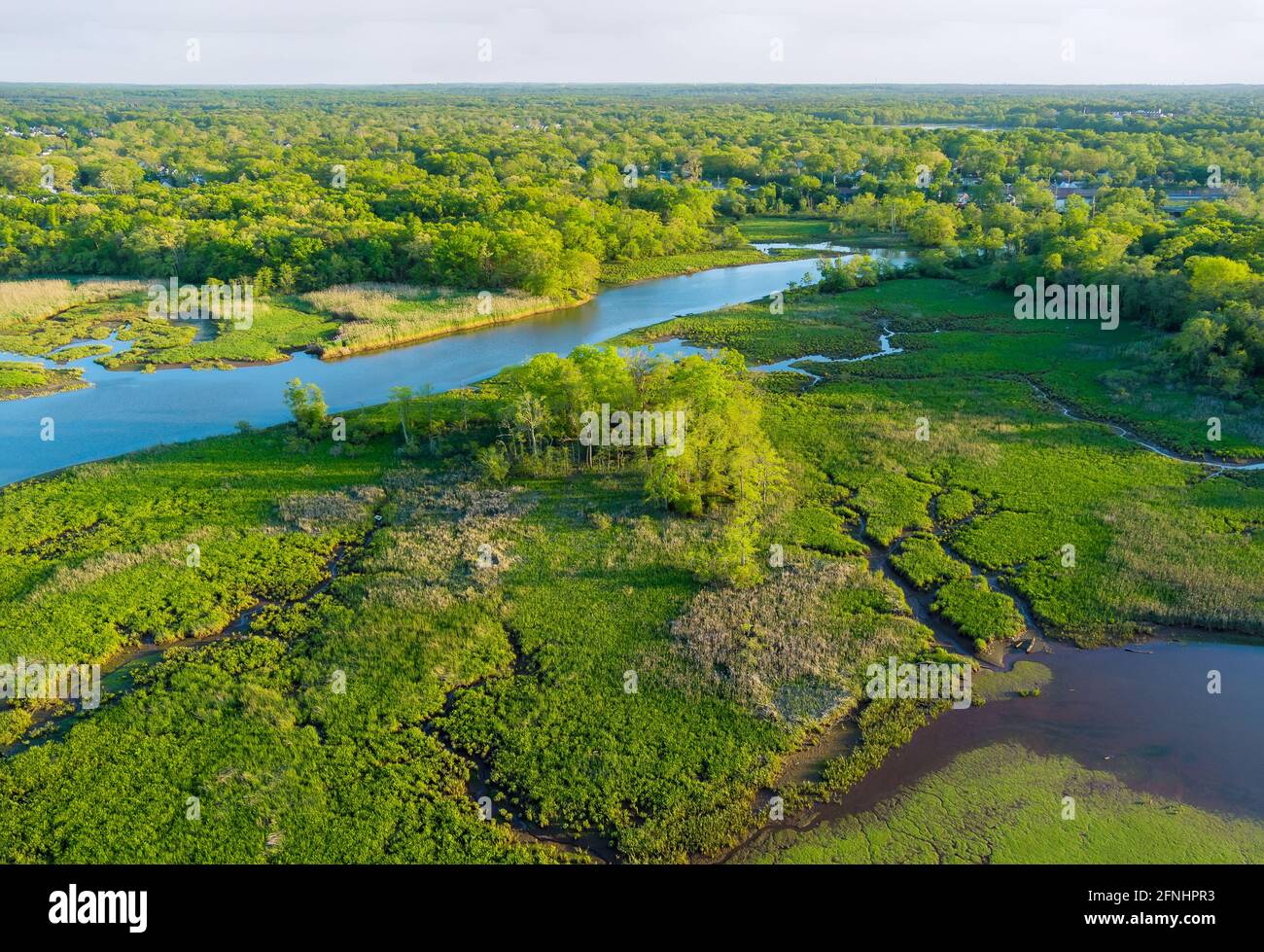 Aerial view of rivers in forests landscape Stock Photo - Alamy