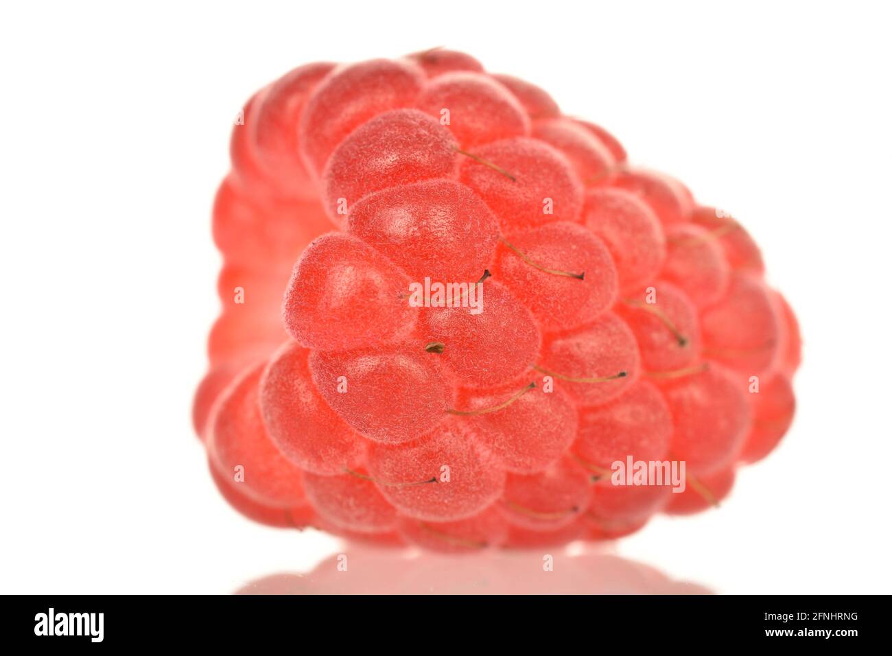 One red ripe raspberry berry, macro, isolated on white Stock Photo - Alamy