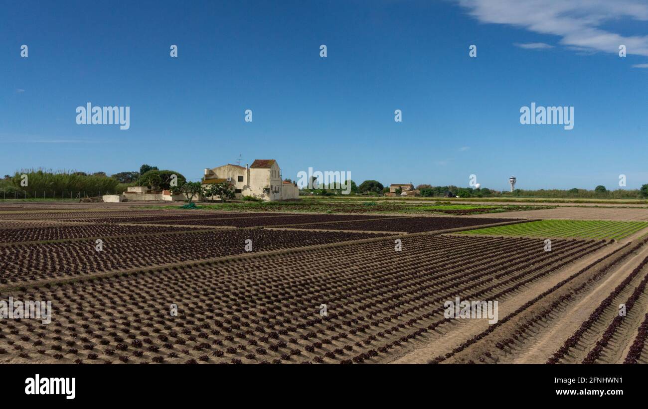agriculture farm on the outskirts of barcelona in spain Stock Photo - Alamy