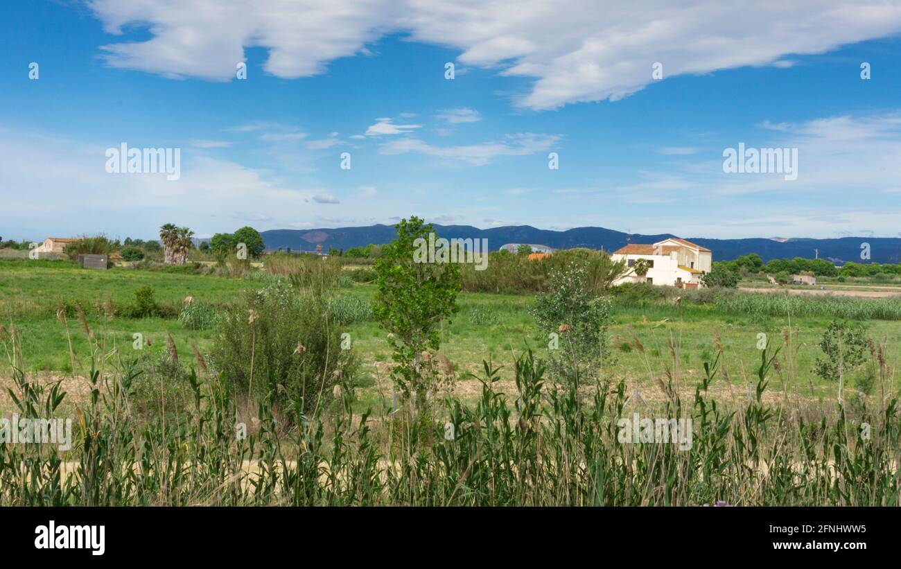 agriculture farm on the outskirts of barcelona in spain Stock Photo - Alamy