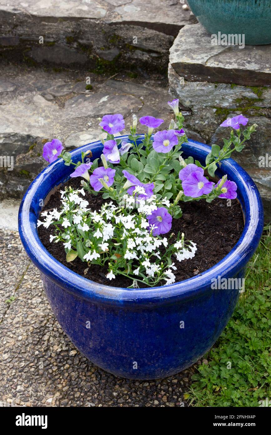 Ceramic image hi-res stock photography and images - Alamy