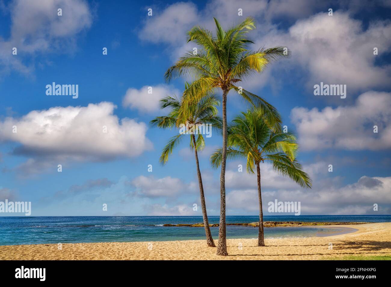 Palm trees on beach at Salt Pond Beach Park, Kauai, Hawaii Stock Photo ...