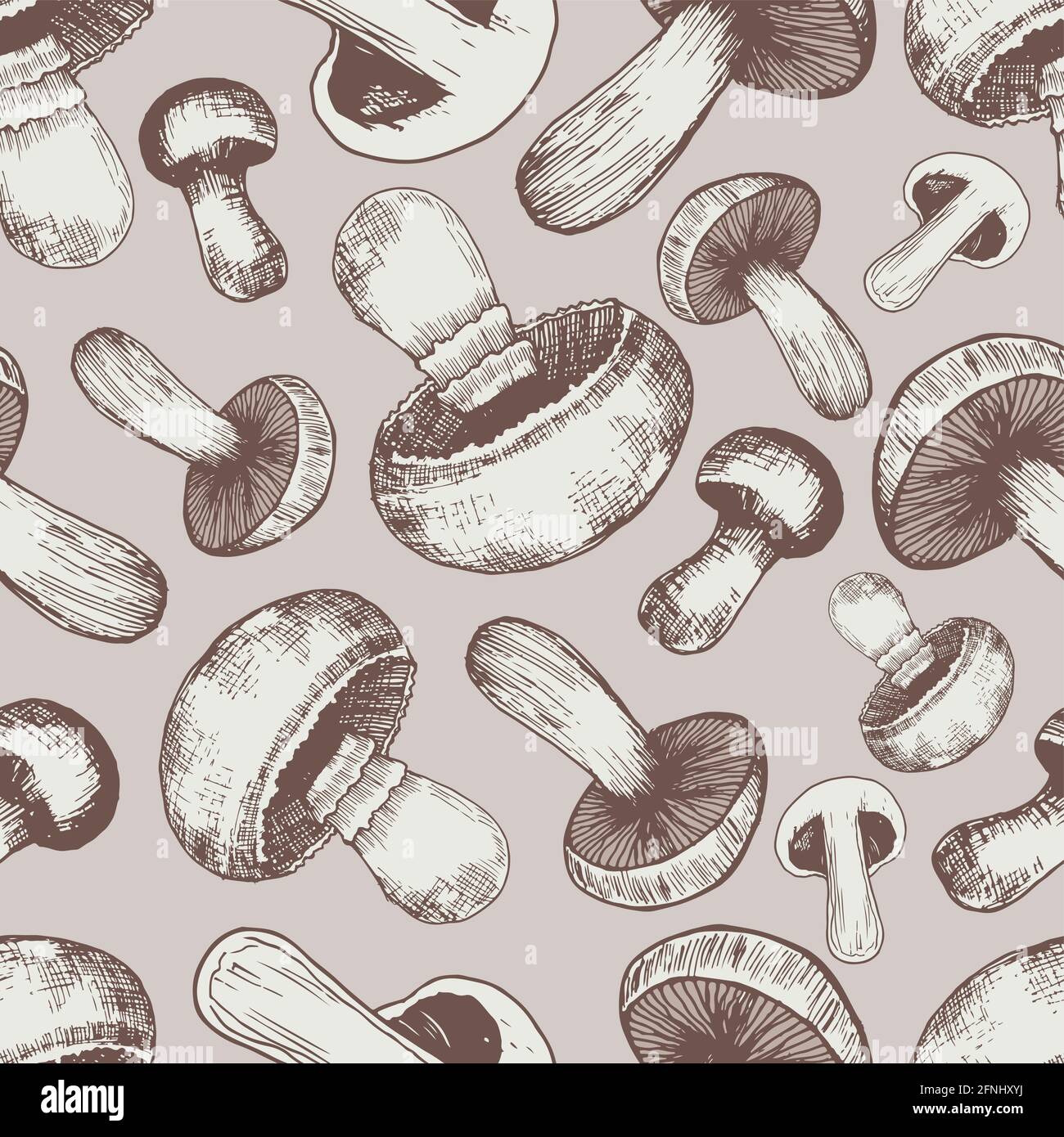 Texture fresh mushrooms champignons Stock Vector Images - Alamy