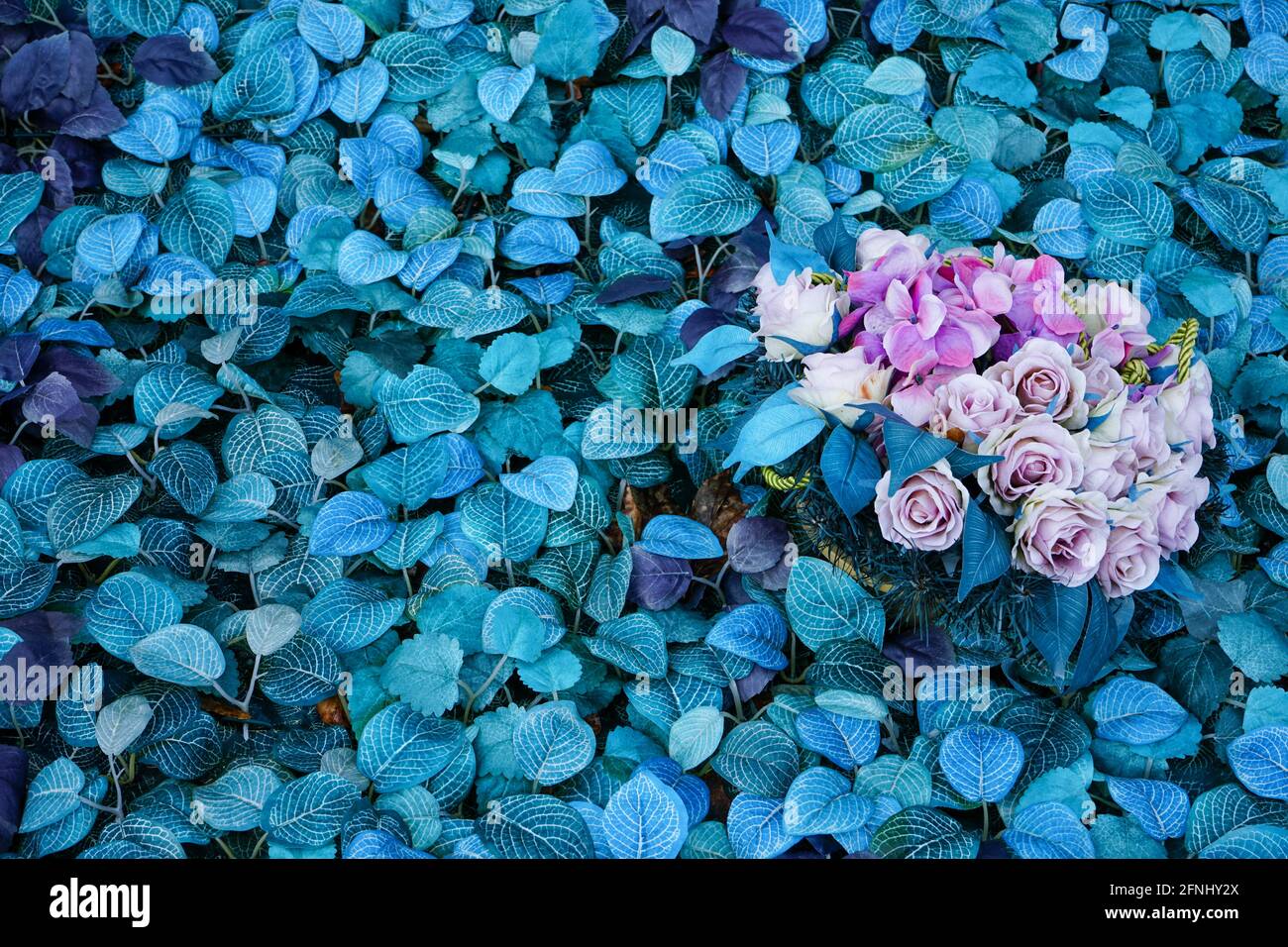 White ivy flower hi-res stock photography and images - Alamy