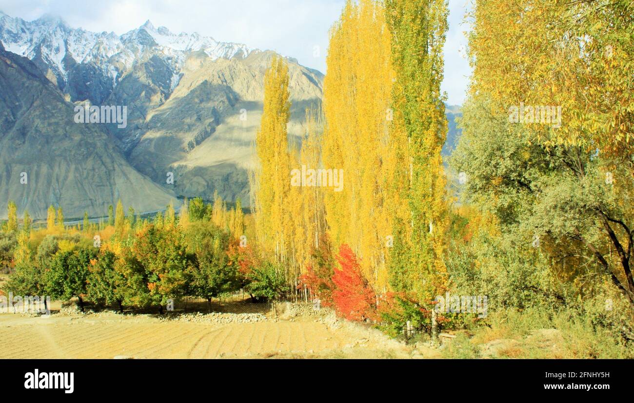 Autumn lover hi-res stock photography and images - Alamy